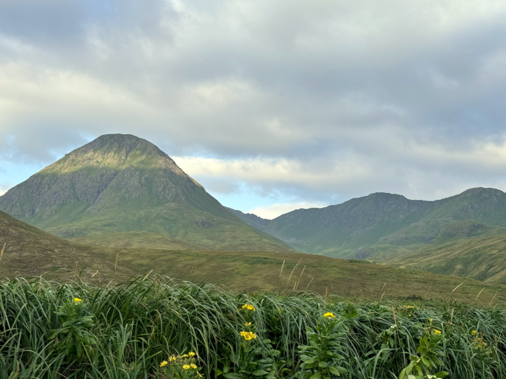 Journey to Attu - Aleut Corporation