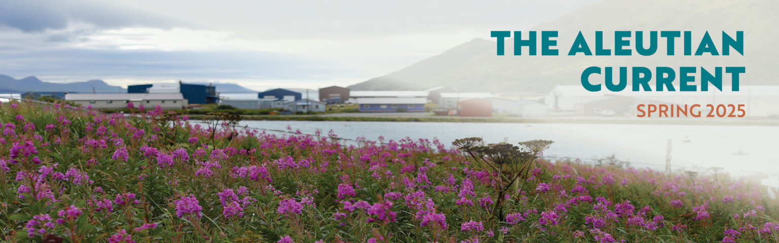Aleutian Current - Spring 2025 - Aleut Corporation